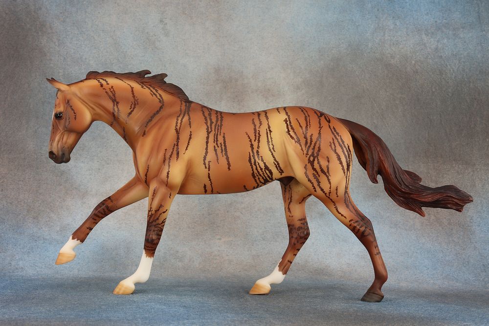 Identify Your Breyer - Australian Stock Horse (Dundee)