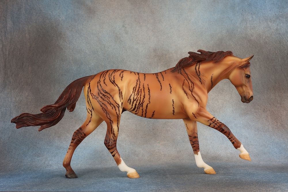 Identify Your Breyer - Australian Stock Horse (Dundee)