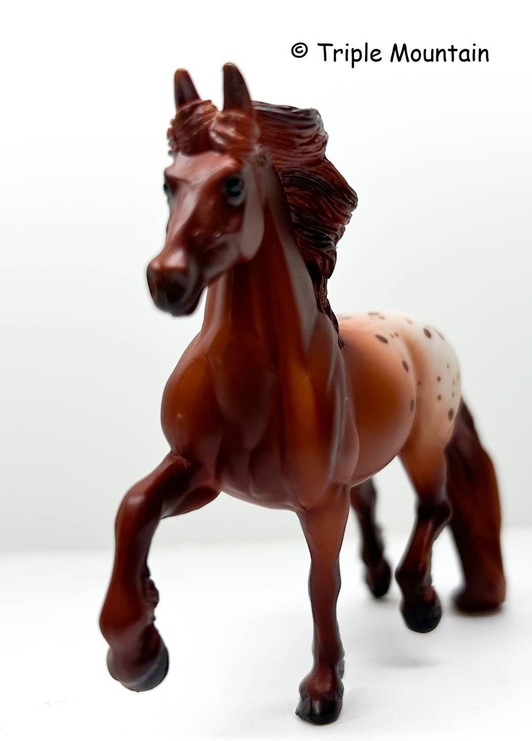 Identify Your Breyer - Friesian